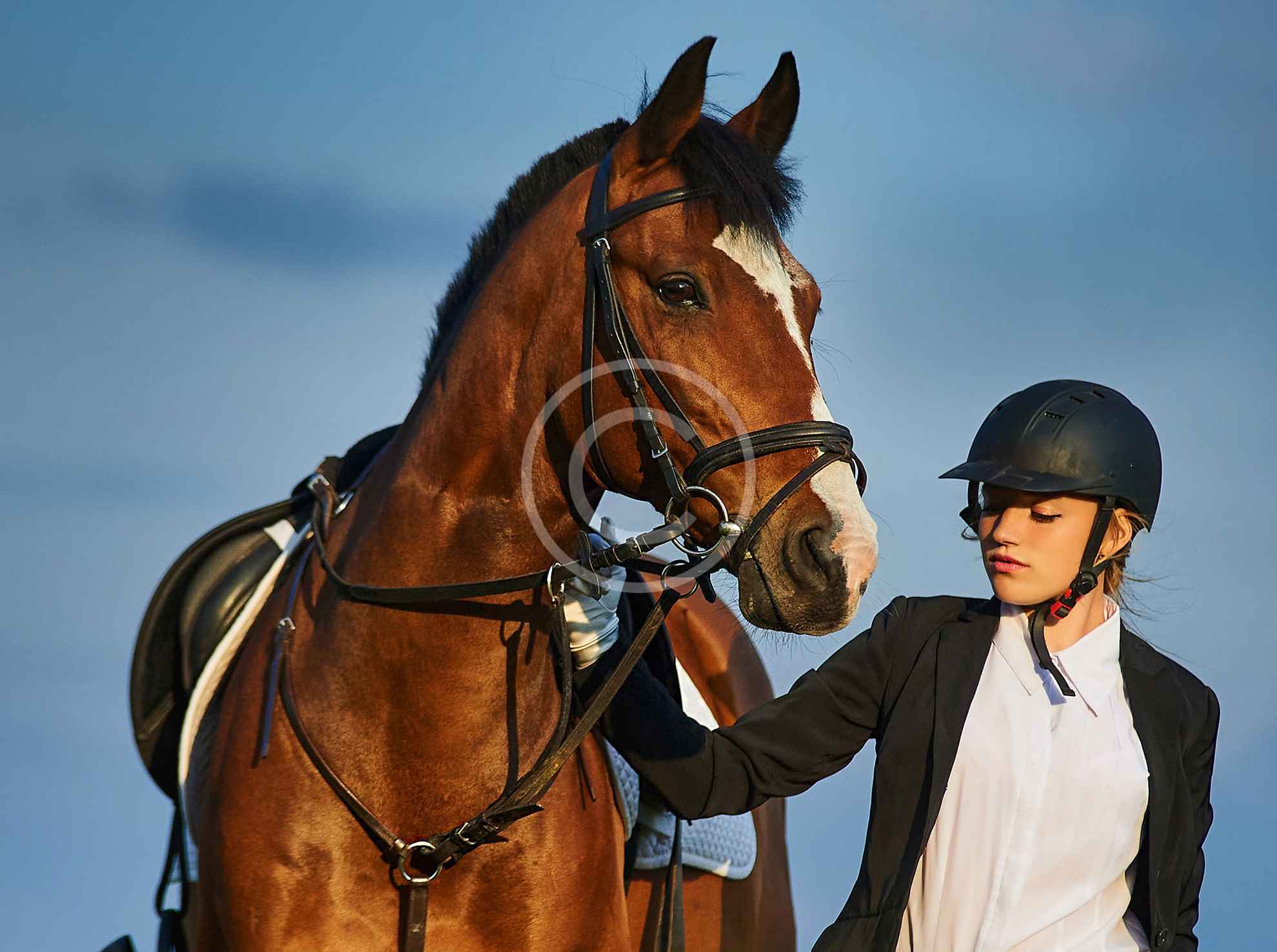 How to Stay Confident While Riding a Tense Horse - Stallion